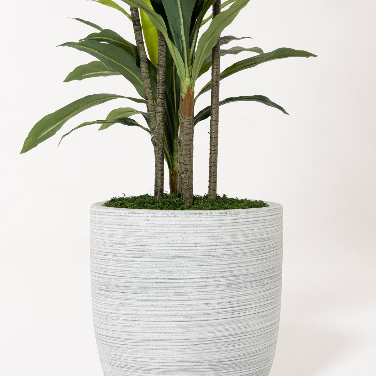 Ardenne Grey Ceramic Pot – Modern European Texture with Timeless Appeal ...