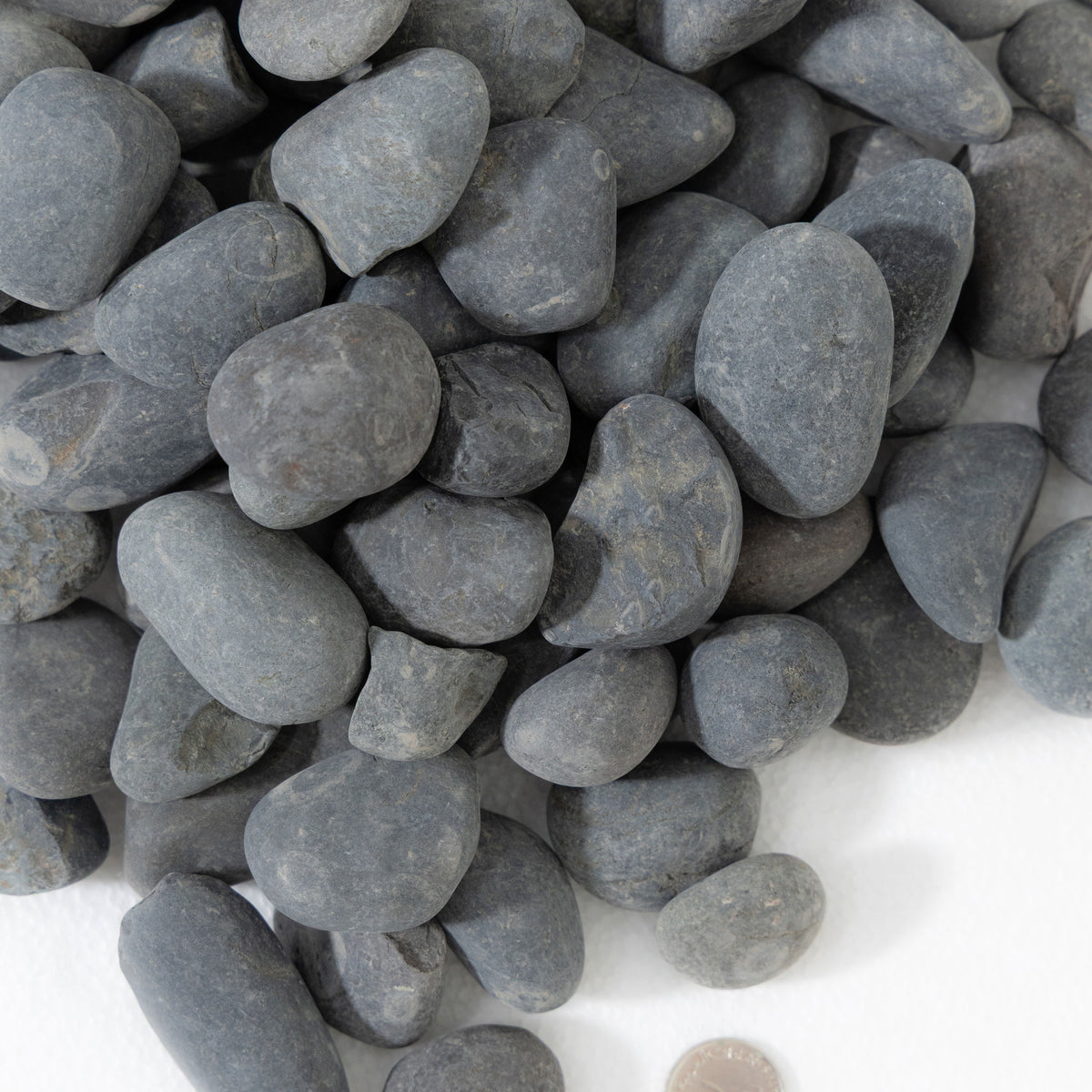Dark Grey Decorative Pebble Stones | Premium Pebbles for Pots UAE ...