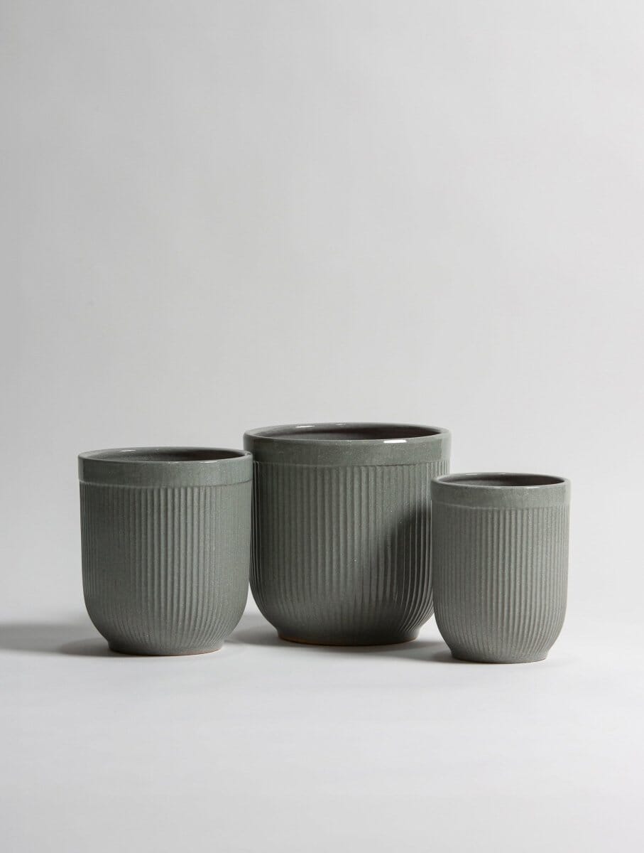 Moss Crest Ceramic Pot — Elegant Accent for Homes & Office Interiors ...