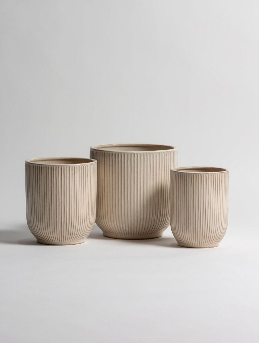 Beige Crest Ceramic Pot — Stylish Accent for Contemporary Interior ...