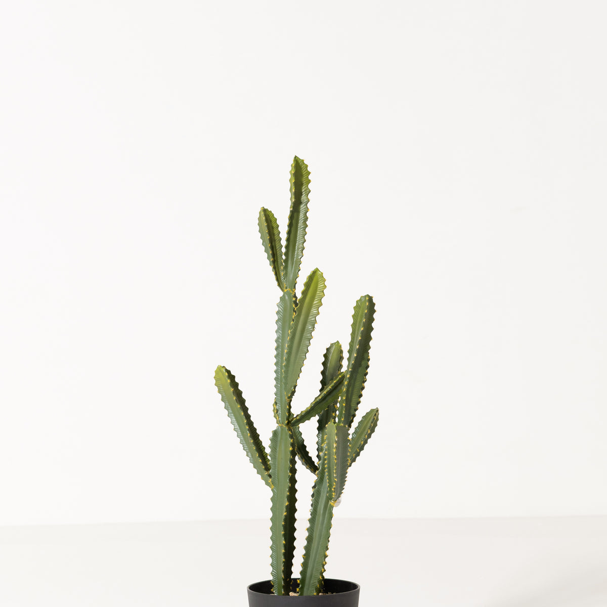 Refresh Your Space with the Natural Beauty of an Artificial Branching ...