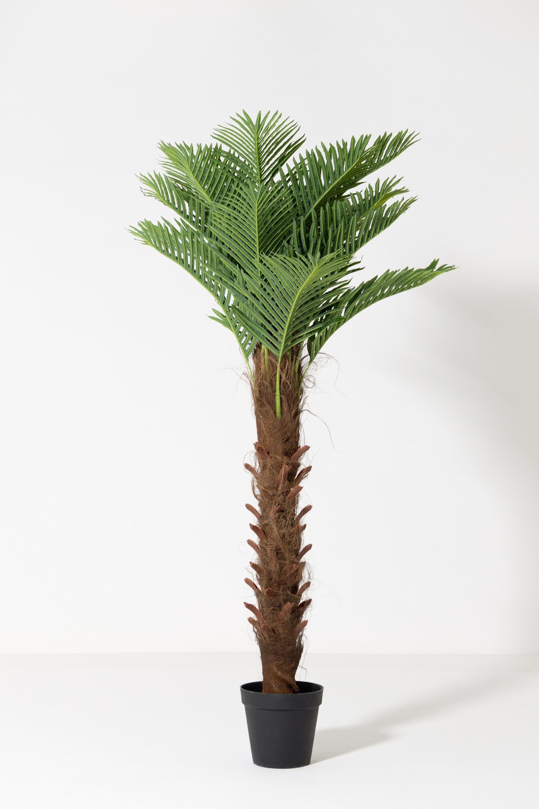 Artificial Phoenix Palm Tree | Tall Lifelike Tropical Indoor Greenery ...