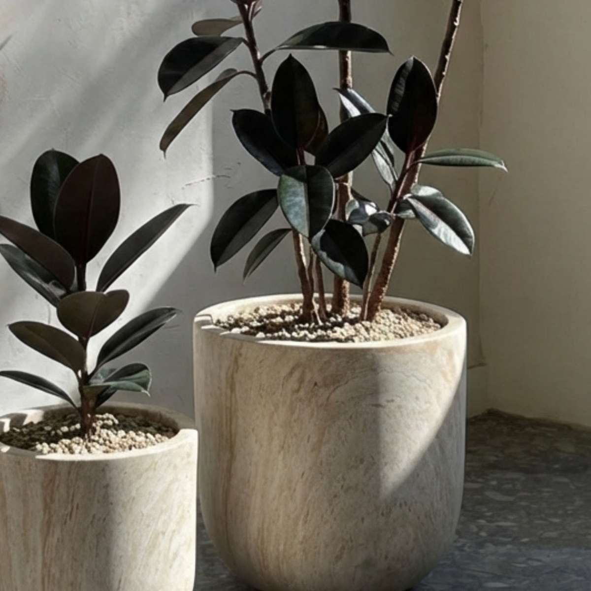 Create a Natural Elevated Look with the Orlia Travertine Concrete Pot ...
