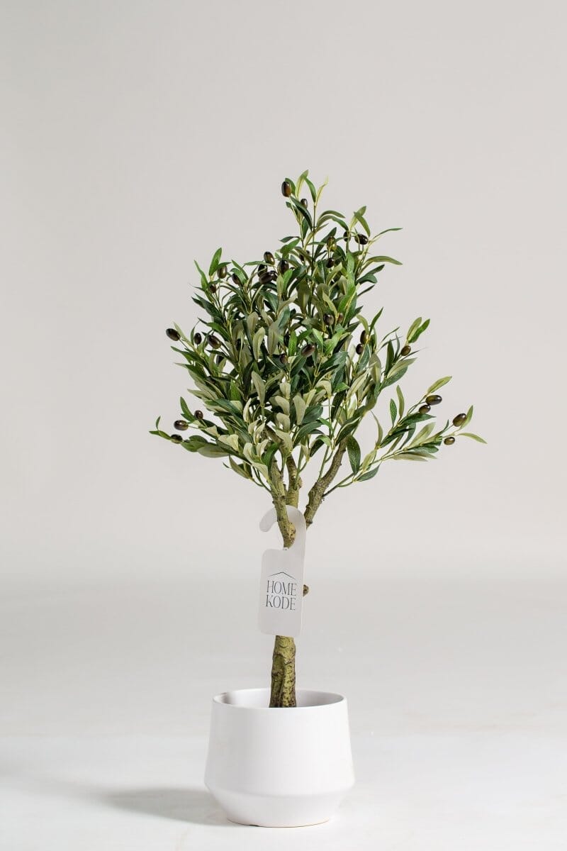 Mini Olive tree Artificial Plant (Pot not included) – Homekode